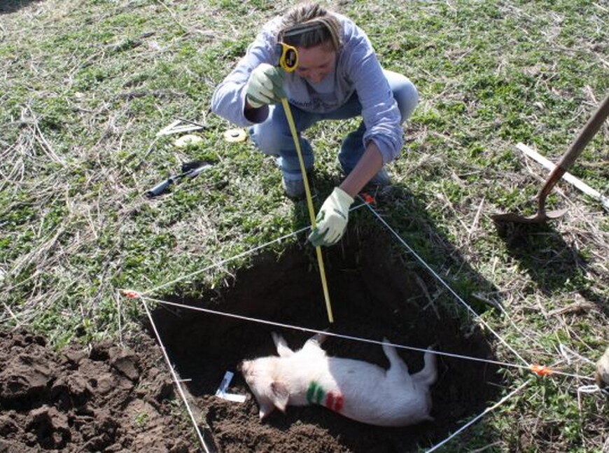 Student Research Investigates Relationship Between Agricultural ...